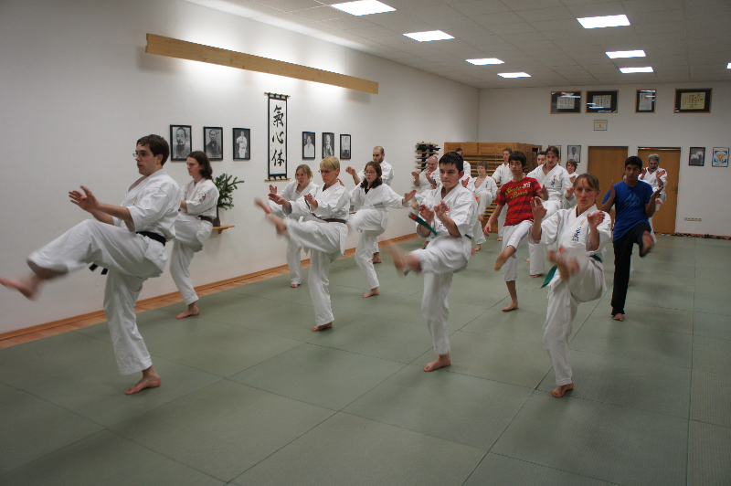 Karate Do - KI-SHIN-TAI DOJO - Die Kampfkunstschule in Buckenhof / Erlangen