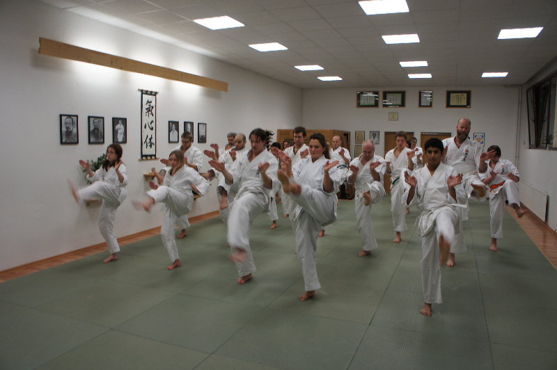 Karate Do - KI-SHIN-TAI DOJO - Die Kampfkunstschule in Buckenhof / Erlangen