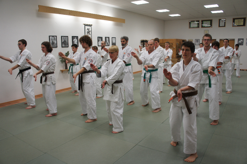 Karate Do - KI-SHIN-TAI DOJO - Die Kampfkunstschule in Buckenhof / Erlangen